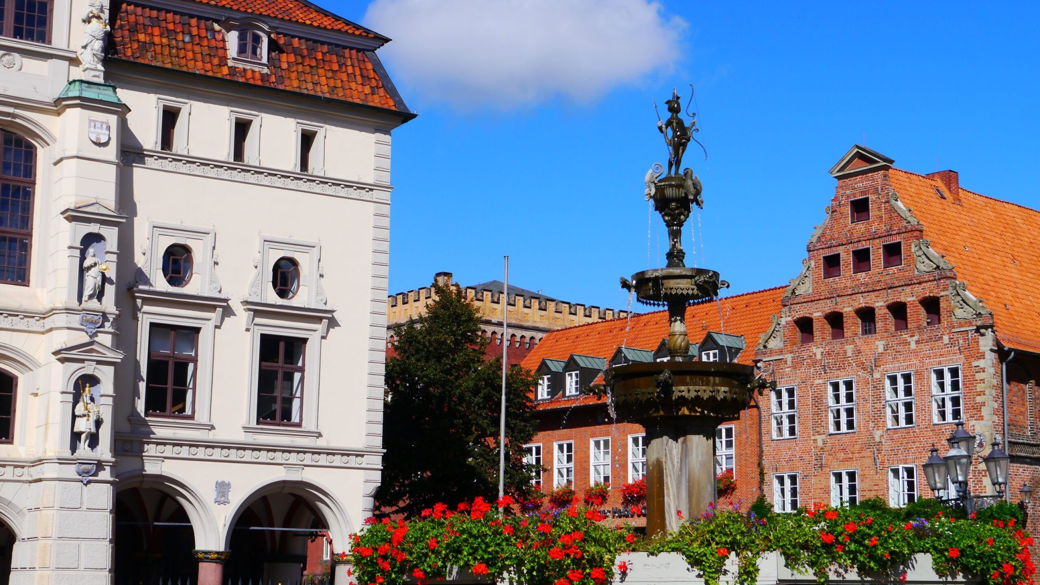 IBUS Hybrid Module 1 Workshop Lüneburg, Germany – March 13th – 14th ...